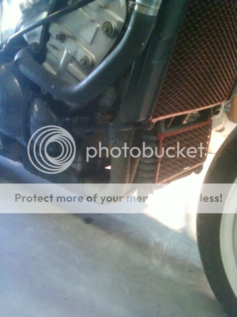 My 96 zx6 build | Custom Fighters - Custom Streetfighter Motorcycle Forum